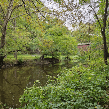 Best Hiking Trails in Lancaster, PA: Top Spots to Explore the Outdoors