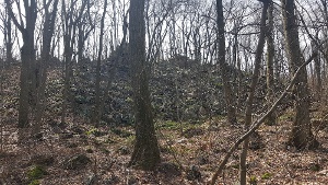 Best Hiking Trails in Lancaster, PA: Top Spots to Explore the Outdoors